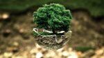 50 Amazing Nature and Environment Inquiry Questions - Learning by Inquiry