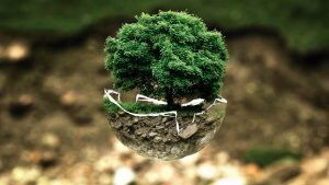 50 Amazing Nature and Environment Inquiry Questions - Learning by Inquiry