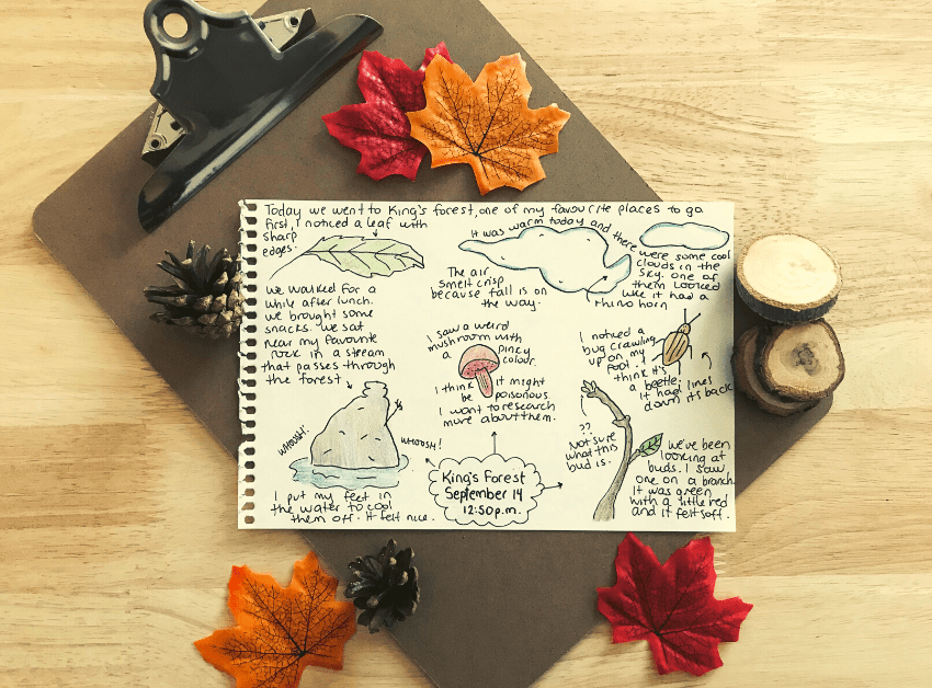 4 Outdoor Inquiry Learning Experiences for Students in the Autumn ...