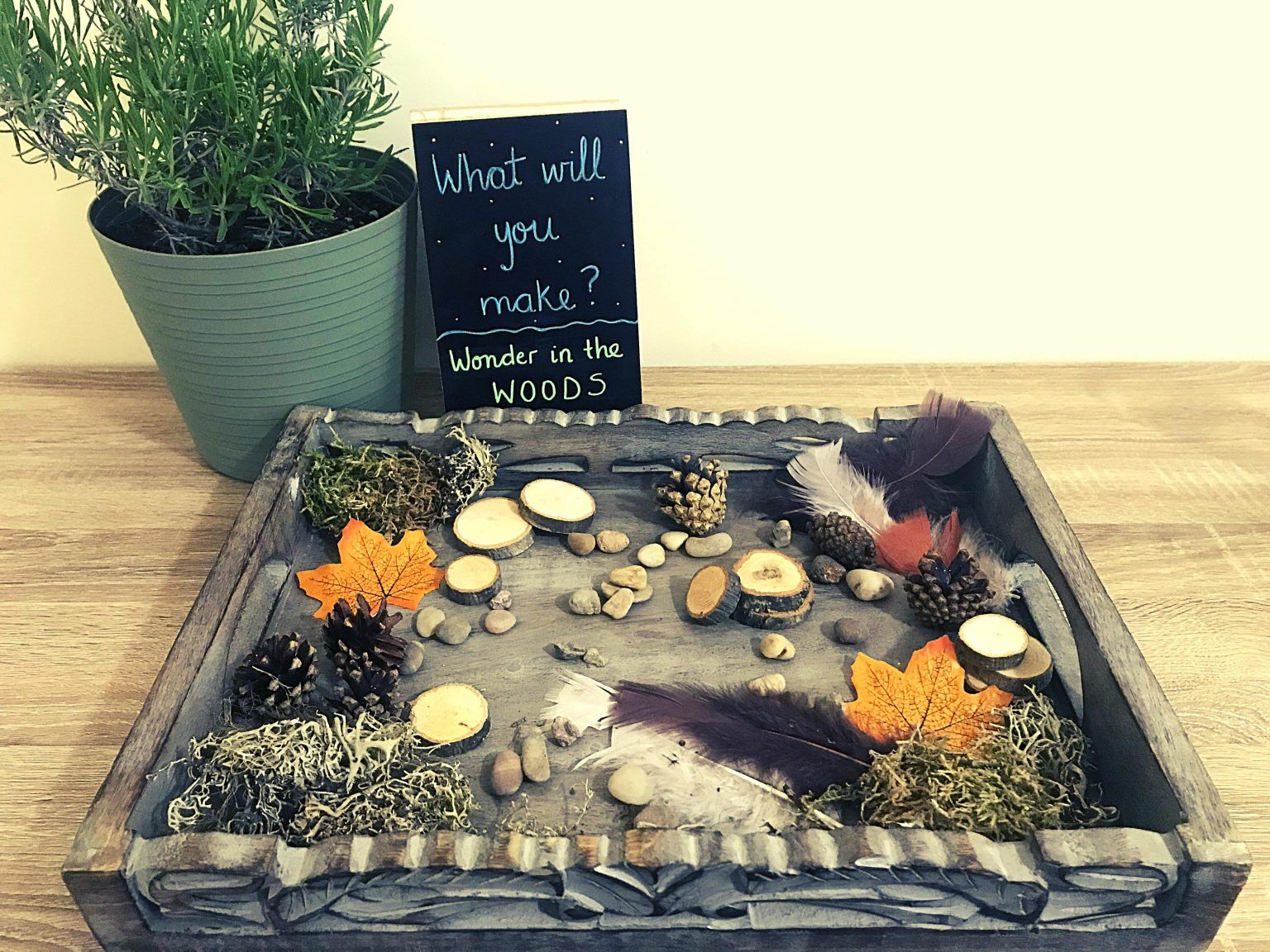 Provocation vs Invitation: What is the Difference? - Learning by Inquiry