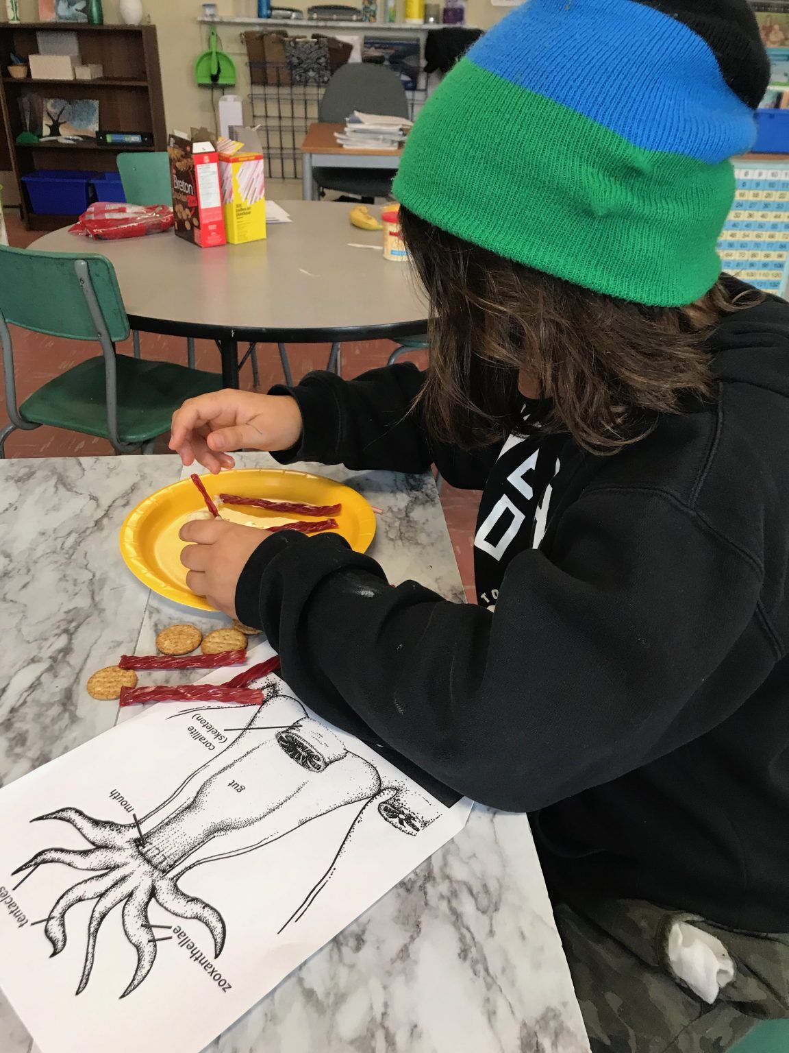 How to Use Scientific Inquiry in the Elementary Classroom - Learning by ...