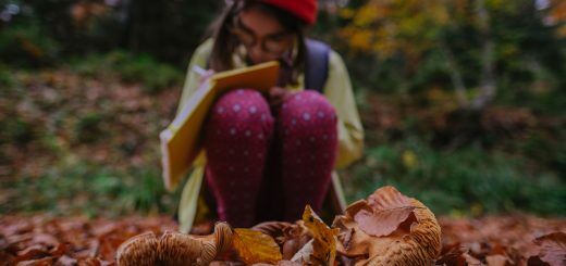 How to Set Up Learning Provocations in the Classroom - Learning by Inquiry